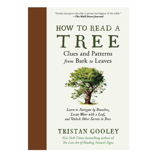 Whole Earth Provision Co. | How to Read a Tree: Clues and Patterns from ...
