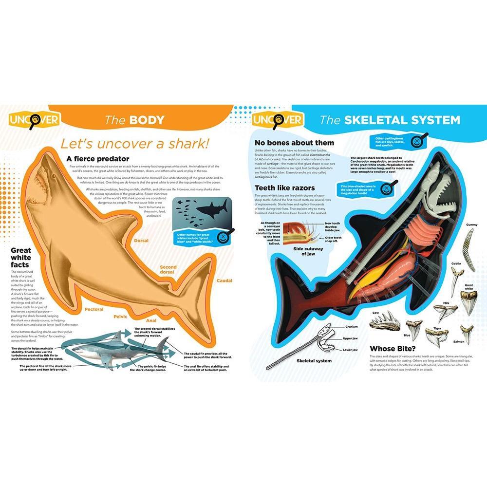 Whole Earth Provision Co. | Uncover a Shark by David George Gordon